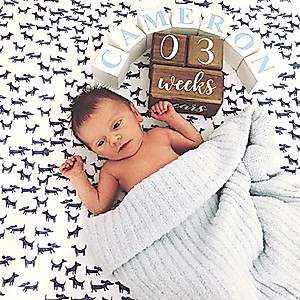 Premium Solid Wood Baby Milestone Age Blocks + Gift Box | Brown Walnut Stained Natural Pine | Weeks Months Years Grade Newborn Photo Props | Perfect Pregnancy Gift and Keepsake, Month Photos