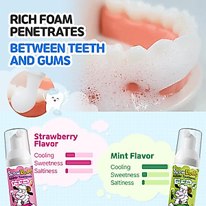 SnowBuddy Foam Toothpaste Kids - Strawberry Flavors - 1 Pack, Anti Cavity with Low-Fluoride, for u-Shape Toothbrush and Mouthwash for Dental Care