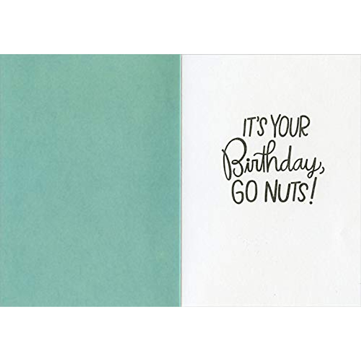 Designer Greetings I Posted A Picture Squirrel Funny/Humorous Risque Birthday Card