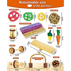 OVERTANG Hamster Toys, Guinea Pig Toys, 18 Pcs Wooden Hamster Toy Set Natural Apple Wood Small Animal Chew Molar Toys for Teeth for Rabbit, Chinchilla, Gerbils, Rats Exercise Accessories