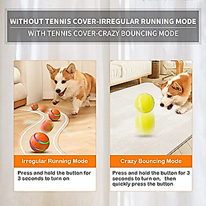 PetDroid Interactive Dog Ball Toys,Durable Motion Activated Automatic Rolling Ball Toys for Puppy/Small/Medium Dogs,USB Rechargeable (Orange)