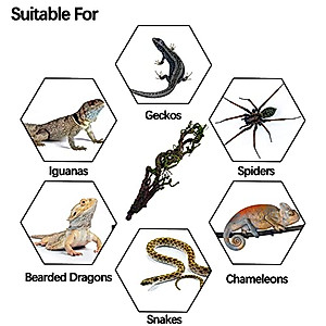 BNOSDM Reptile Bend-A-Branch Vines with Moss Bendable Jungle Climbing Vine Pet Habitat Decor for Bearded Dragons Chameleon Geckos Snakes Lizards Frogs