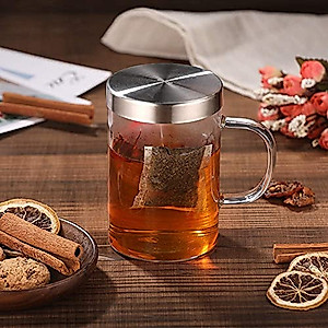 Ecooe 16.9 Oz Borosilicate Glass Tea Mug Cup Tea Glasses with Stainless Steel Infuser & Lid, Loose Leaf Glass Tea Cup Teacup 500mL