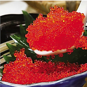 Caviar Spoons - EvaGO Mother of Pearl MOP Caviar Spoon W Round Handle 3.55 inch, 2 pack