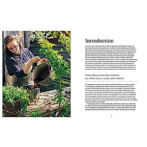 The Wild Dyer: A Maker's Guide to Natural Dyes with Projects to Create and Stitch