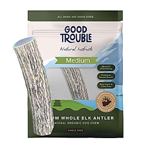 Good Trouble Pets Premium Elk Antlers for Medium Dogs - All-Natural, Shed Antler Chews for Dental Health & Calming - Durable Dog Bones for Aggressive Chewers - Cruelty-Free, North American Sourced