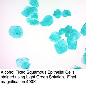 Light Green Solution, 1 Gallon