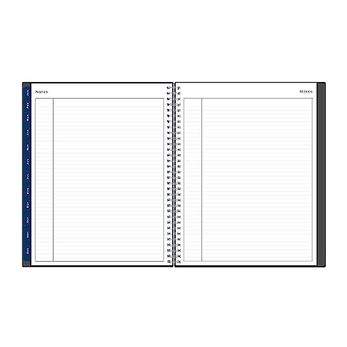 Blue Sky 2024 Weekly and Monthly Appointment Book and Planner, 8.5" x 11", Flexible Cover, Wirebound, Passages (100009-24)