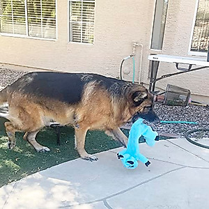 Jalousie Multipack Stuffingless Dog Squeaky Toys Dog Toy Dog with Durable Liner No Stuffing Dog Toy - Dog Toys for Pets Dogs for Small Medium Large Dogs (Medium to Large - 5 Pack)