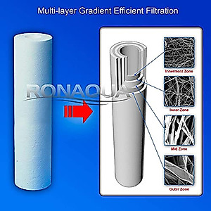 Big Sediment Replacement Water Filters 1 Micron 4.5"x 20" Cartridges by Ronaqua WELL-MATCHED with 155358-43, 2PP20BB1M, AP810-2, FPMB-BB5-20, FP25B, P5-20BB, SDC-45-2005 (2 Pack, 20")