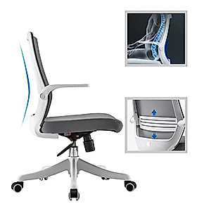 Ergonomic Office Chair Mid-Back Home Desk Chair with Lumbar Support Small Mesh Computer Chair