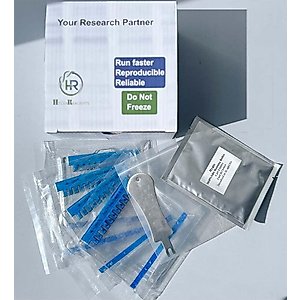 Pre-Casted Protein Gel (HG-Page™) (4-20%, 12 Well)