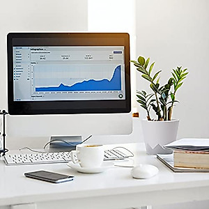 HAUSHOF 5 Inch Plant Pots, 10 Pcs Plastic Planters for Flower Planting, Flower Pots for Indoor, Home and Garden, Light Grey