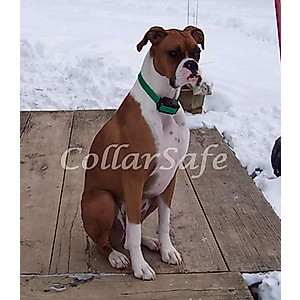 CollarSafe Designer Replacement Collar - Weaves (NO Holes) - FIT Petsafe Stay & Play Wireless Containment PIF00-12918 PIF00-12917 PIF00-13672 SportDog FieldTrainer YardTrainer - Read/View Photos
