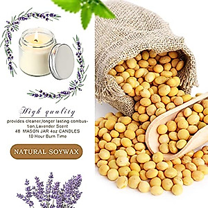 Lounsweer 24PCS Mini Mason Jar Candles 4oz Small Scented Lavender Jar Candles in Bulk Wax Stress Relief Aromatherapy Candles for Christmas Birthday Gift Wedding Baby Shower Party Favors (Silver)