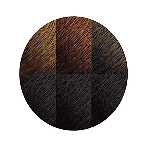 Moisture Rich Liquid Hair Color by Creme of Nature, C10 Jet Black, with Shea Butter Conditioner, 1 Application