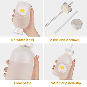 ASTROWORLD WISH YOU WERE HERE 16.9oz(480ml) Milk Juice Water Bottle with Scale,2 Lids and 2 straws Little daisy Matte Portable glass Water Cup, One Flower Grass Bottles Creative Handy Cup