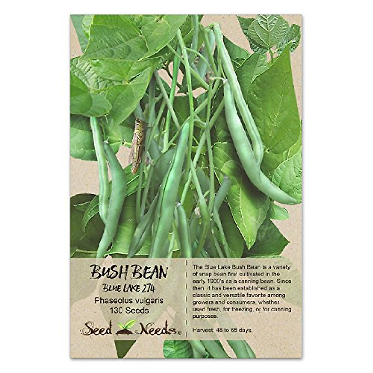 Seed Needs, Heirloom 130+ Blue Lake 274 Bush Bean Seeds (Phaseolus vulgaris) Large Easy to Grow Fresh Vegetable Green Beans, Great Tasting Fresh or Cooked - Bean Seeds for Planting - Bulk