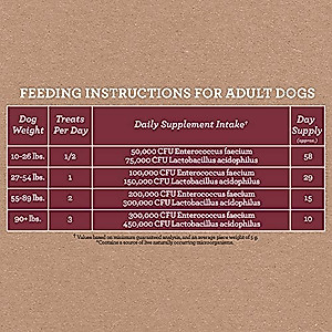 Cloud Star Dynamo Dog Tummy Treats – Soft & Chewy Probiotics Support for Dogs (14 oz. Pumpkin and Ginger) (20212)