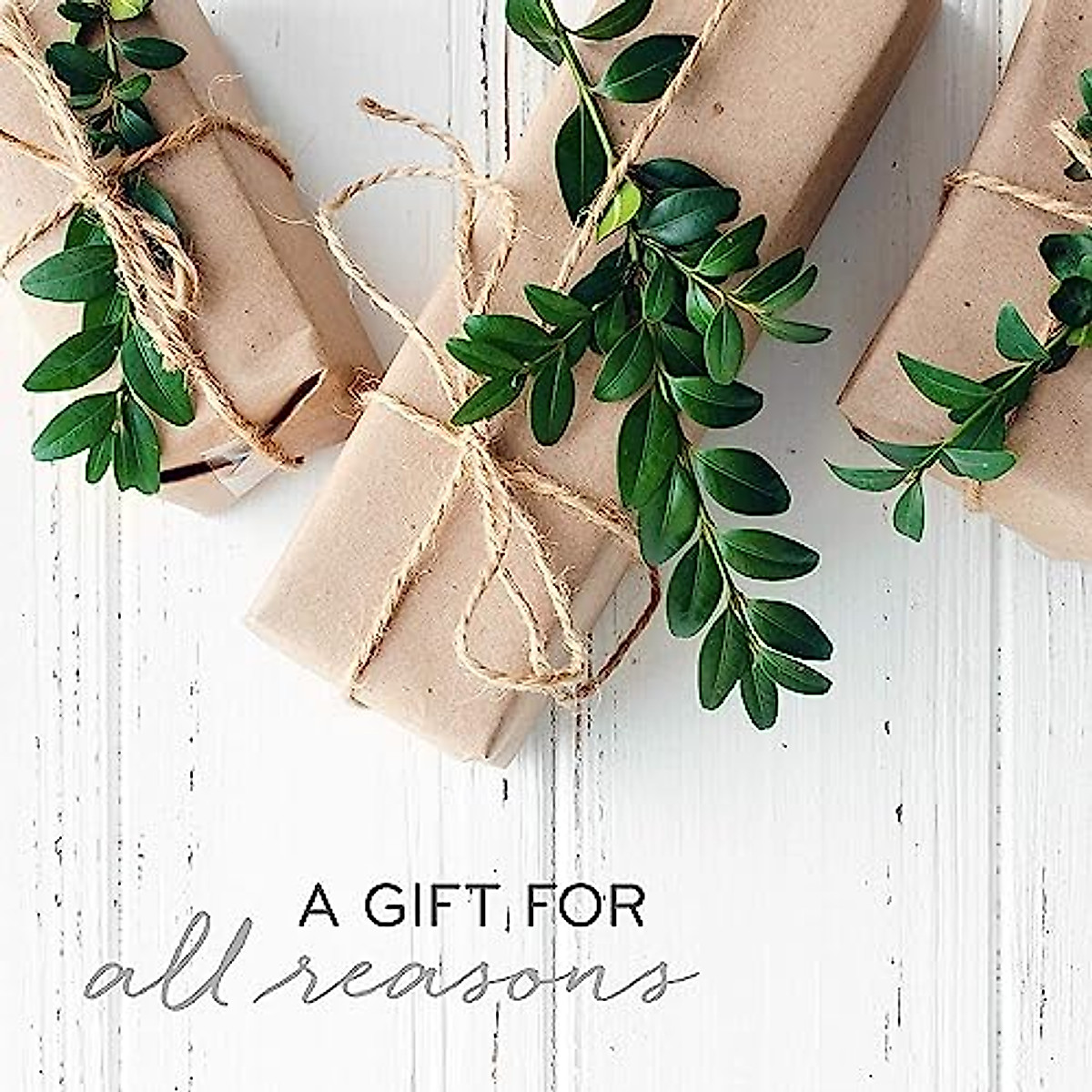 Thymes Frasier Fir Candle - Gilded Frosted Wood Grain Jar Candle - Scented Candle with a Luxury Home Fragrance - Elegant Holiday Candle - Gold Candle Lid and Gilded Gold Base (Medium, 9 oz)