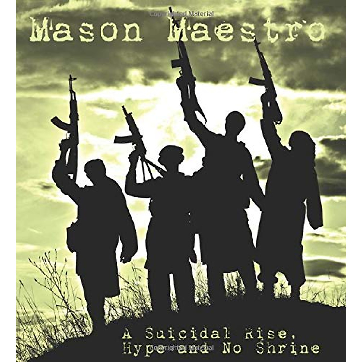 A Suicidal Rise, Hype and No Shrine (The Conceptual Novelty Collection)