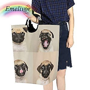 Emelivor Laundry Baskets with Handles - Cute Pug Puppy Large Laundry Hamper Collapsible Waterproof Laundry Bins for Home Farmhouse