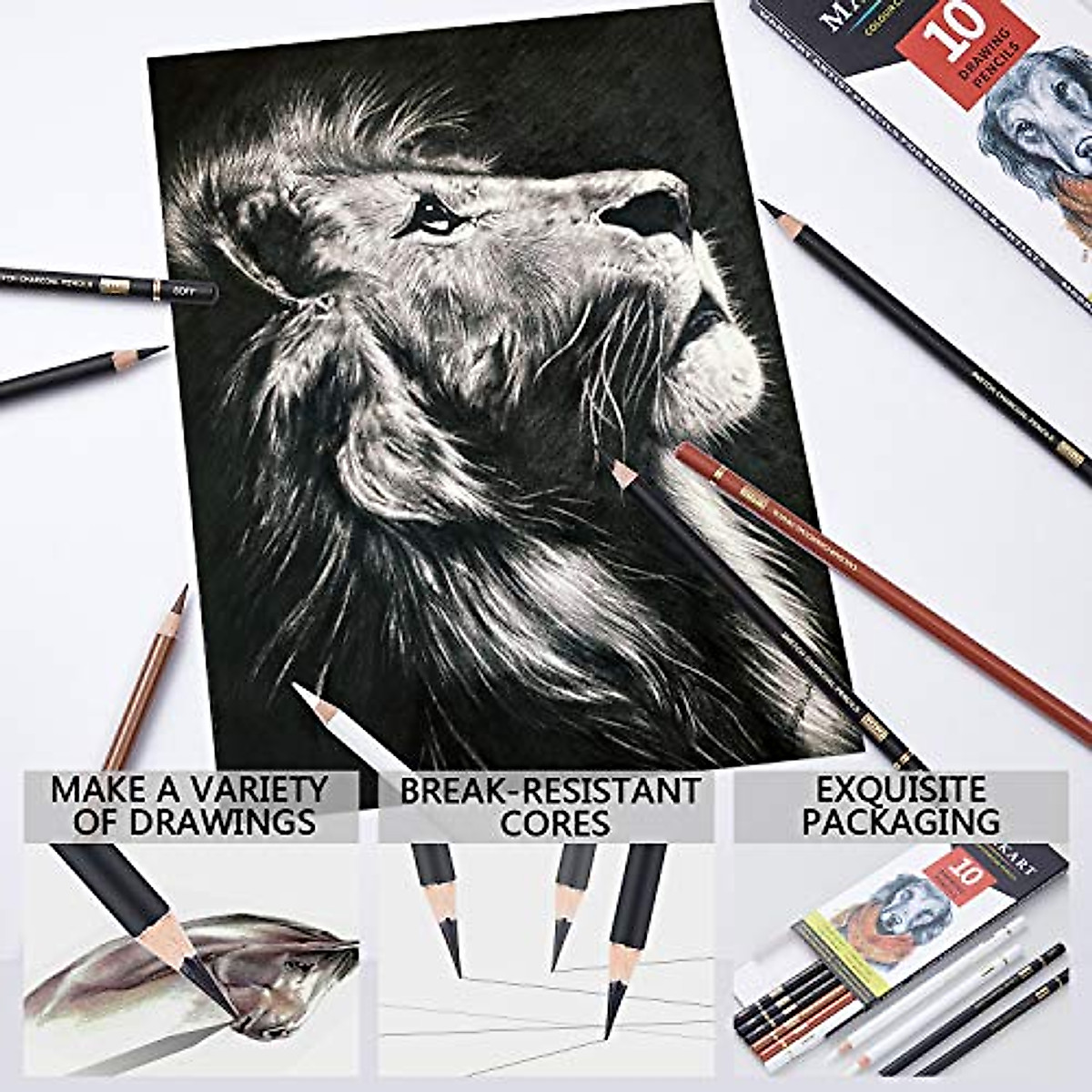 MARKART Professional Charcoal Pencils Drawing Set 10 Pieces Colour Charcoal Pencils for Drawing, Sketching, Shading, Blending, Sketch Highlight White Pencils for Beginners & Artists