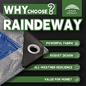 RAINDEWAY Tarps 12x12 Feet - 5.5 Mil, Multipurpose Waterproof Poly Tarp Cover with Metal Grommets and Reinforced Edges, Silver/Blue Tarp