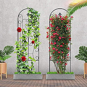 Amagabeli 2 Pack Garden Trellis for Climbing Plants 60" x 18" Black Iron Potted Support Vines Metal Wire Plant Trellis for Climbing Vegetables Flower Patio Roses Cucumbers Clematis Pots Supports GT05