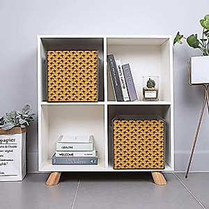 Kangaroo Pattern Collapsible Storage Bins Basics Folding Fabric Storage Cubes Organizer Boxes with Handles
