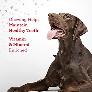 DreamBone Holiday Canes, 3 Count, Made with Real Chicken, Rawhide-Free Chews for Dogs