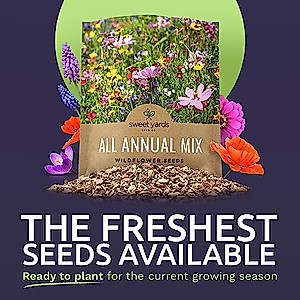 Wildflower Seeds Annual Quick Blooming Mix - Large 1 Ounce Packet Over 7,500 Open Pollinated Seeds