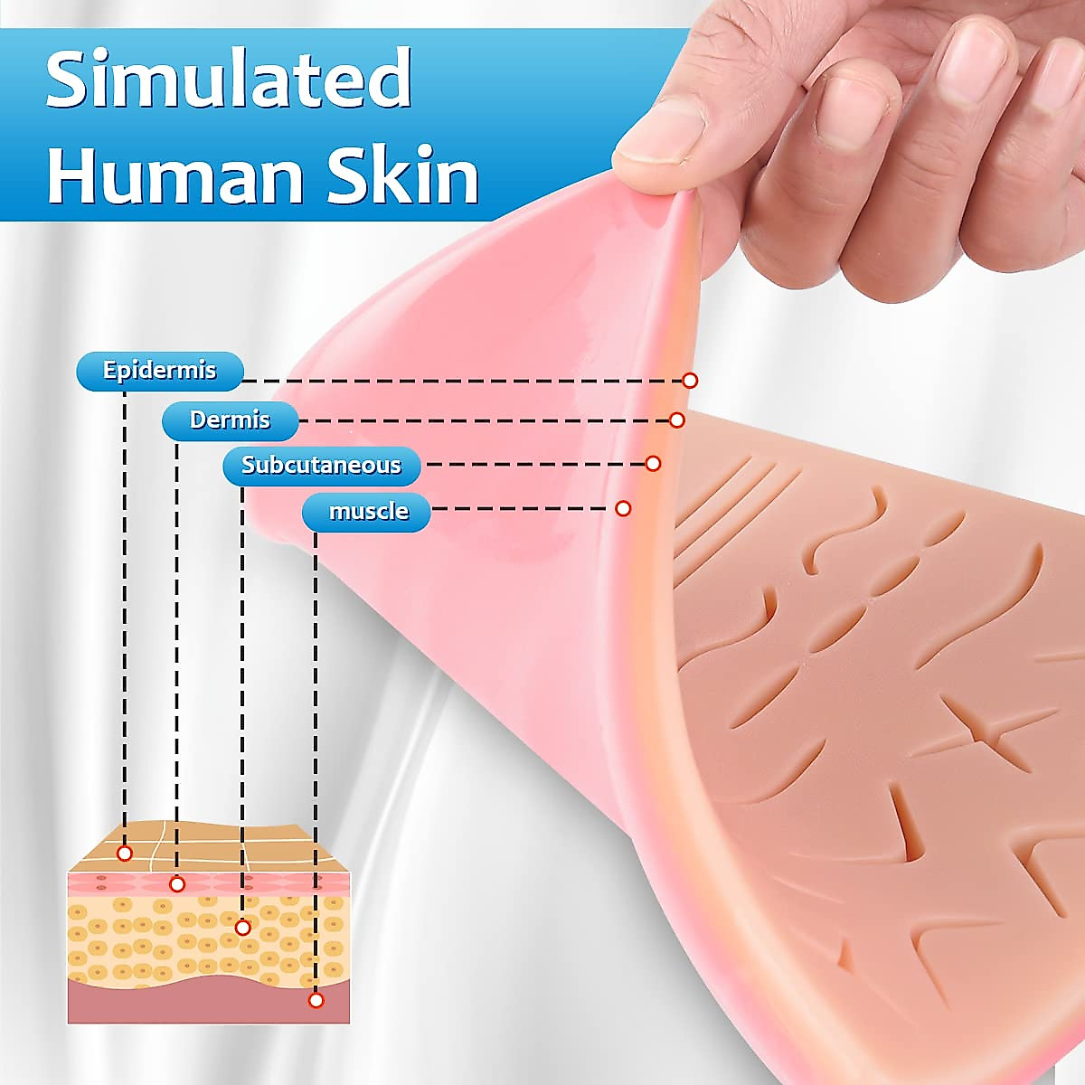 Suture Practice Training Kit for Medical PA, NP Students, Residents Practicing Clinicians, with Large Silicone Lip Suture Pad, Instruments, Stapler Remover Training Videos for Education only