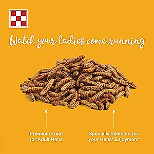 Purina | Farm to Flock Larvae for Ladies™ Hen Treats (12 OZ)