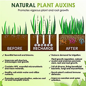 VermisTerra Earthworm Castings 10 LB Standard