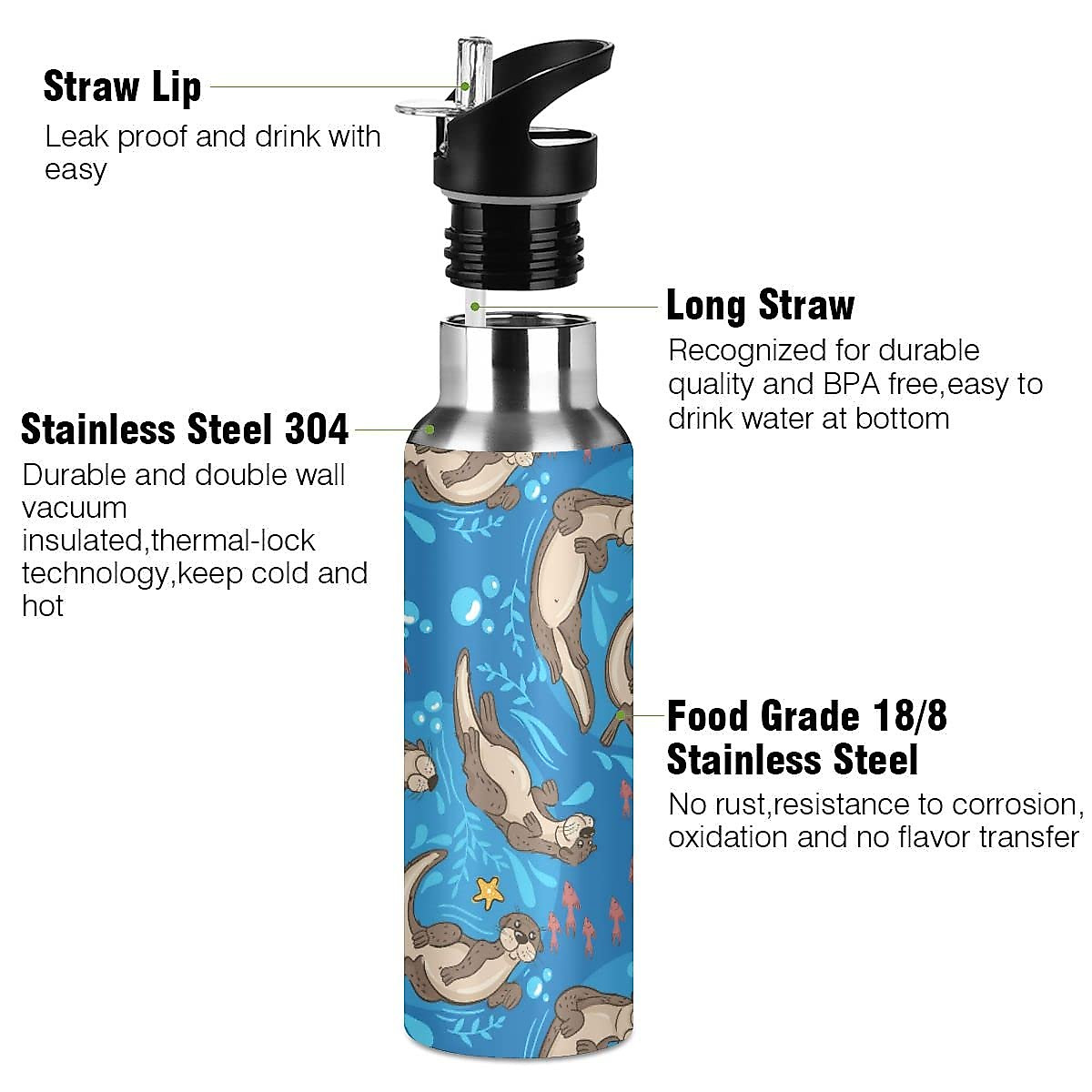 Glaphy Cute Sea Otters Pattern Water Bottle with Straw Lid, BPA-Free, 20 oz Water Bottles Insulated Stainless Steel, for School, Office, Gym, Sports, Travel