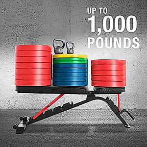 CAP Barbell Strength FID Workout Bench | Flat Incline Decline Positions, Black/Red
