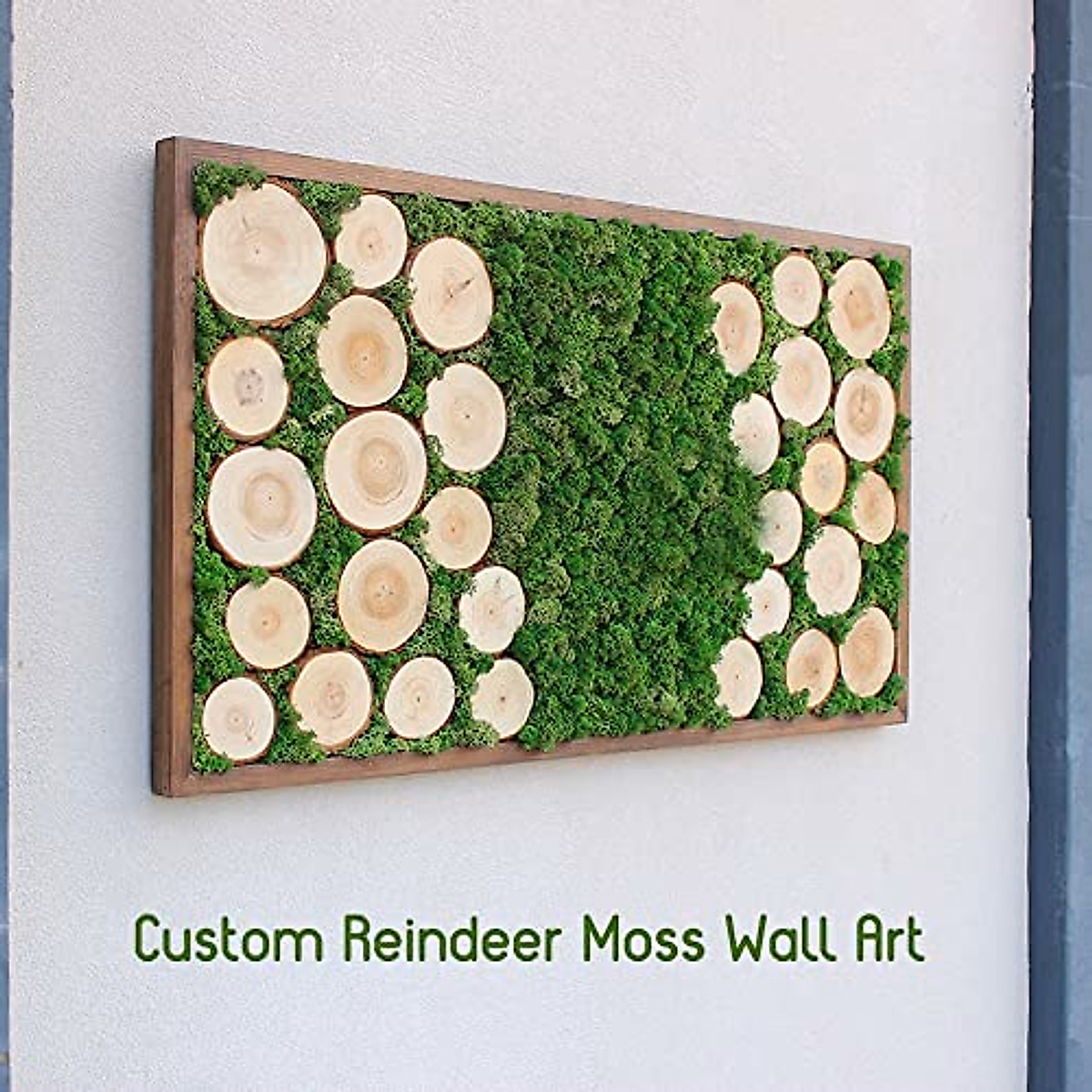 prefleur Preserved Reindeer Craft Moss Natural Green DIY Kit Terrariums Gardenning Art Wall Florist Decor Easter Table Decor Wedding Decor (3 OZ)(Green-02)