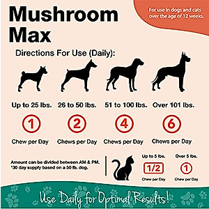NaturVet Mushroom Max Advanced Immune Support Dog Supplement – Helps Strengthen Immunity, Overall Health for Dogs – Includes Shitake Mushrooms, Reishi, Turkey Tail – 60 Ct.