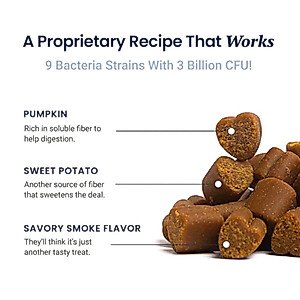 Holistapet Wellness Soft Chews, Probiotic for Dogs, Supports Overall Health, Sweet Potato and Pumpkin Blend, All Natural Ingredients (30 Count, Original)