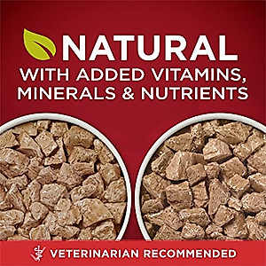 Purina ONE True Instinct Tender Cuts in Gravy With Real Turkey and Venison, and With Real Chicken and Duck High Protein Wet Dog Food Variety Pack - (12) 13 oz. Cans