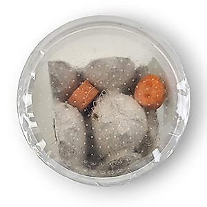 Josh's Frogs 1/4" Banded Crickets (120 Count)