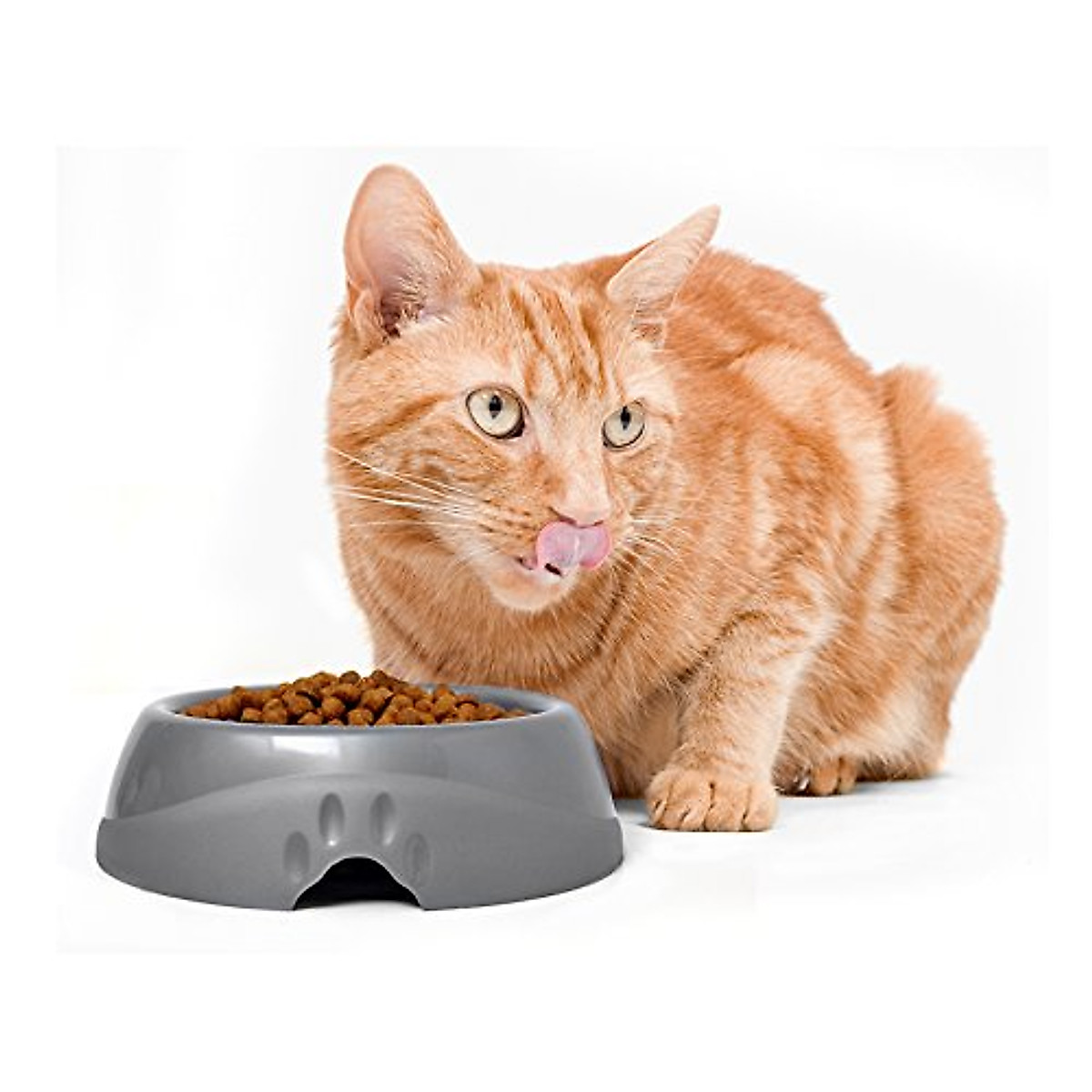 Petmate Dosckocil DDS23077 1-Cup Ultra Lightweight Dog Dish, Small, Assorted Color