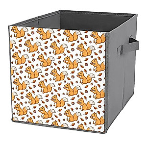 Cute Squirrel and Nuts Large Cubes Storage Bins Collapsible Canvas Storage Box Closet Organizers for Shelves