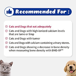 Inoel-6 for Cats and Dogs - Supports Bone Density, Joint and Abnormal Tissue with Pure IP6, Magnesium, Zinc, Manganese, Vitamin K2 (87.50g) (Inoel-6)