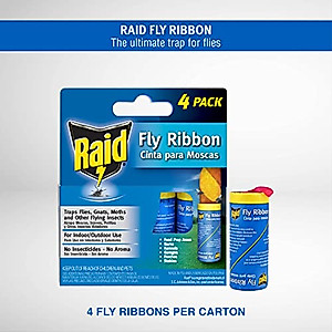 Raid® Fly Ribbon, Fly Traps for Indoors and Outdoors, 4 Pack