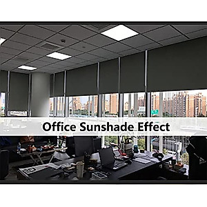 Cordless Roller Shades, 100% Blackout Spring Roller Blind, Waterproof Thermal Insulated Privacy Protection for Office, Living Room, Bedroom, Kitchen, Easy Installation