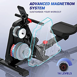 Rowing Machine, DMASUN Magnetic Rower 350 LB Weight Capacity Row Machine with 16 Level Resistance, LCD Display & Comfortable Seat Cushion, Rowing Machines for Home Use Foldable