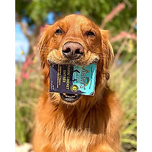 Jiminy's Cravin' Cricket Entree - Wet Dog Food, Insect Dog Food, Gluten-Free, Prebiotic, 100% Made in The USA, Sustainable, Recyclable Packaging, Organic Dog Food - 12.5 Oz (Pack of 6)