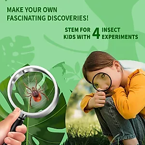 SpiceBox Children's STEM Kits Science Lab Insect Explorer Age Range 8+, Multicolor (10588)